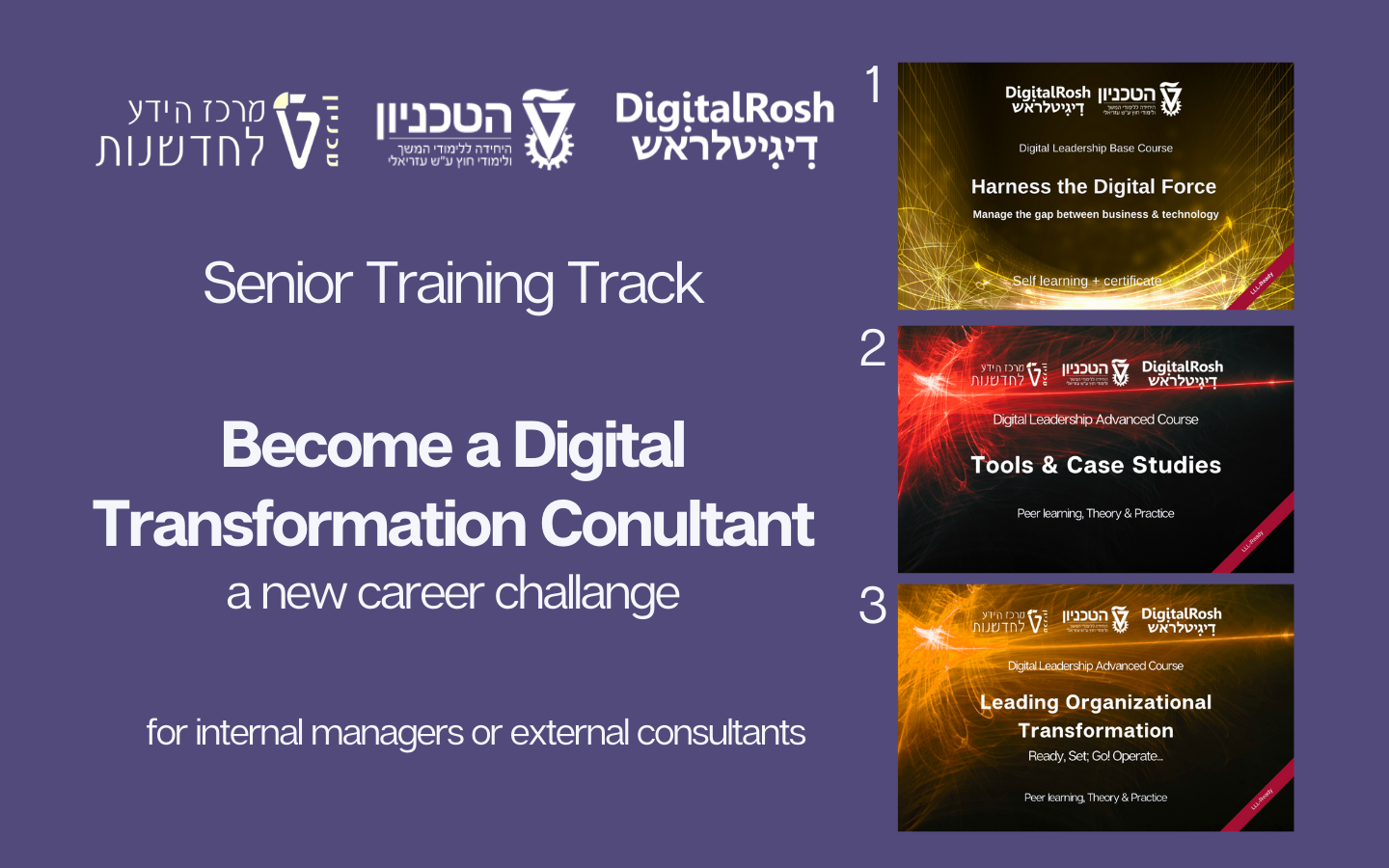 The Consulting Track - A Career in Digital Transformation Consulting ...